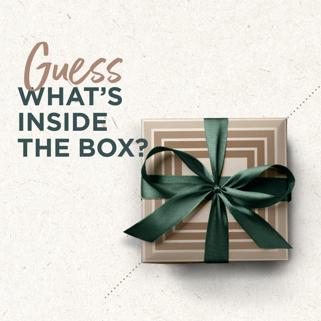 Curious Me - Central Park