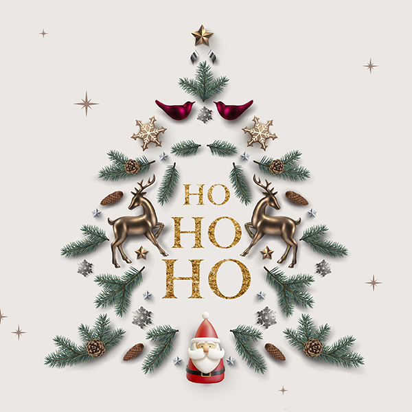 Festive Season Celebration - Central Park